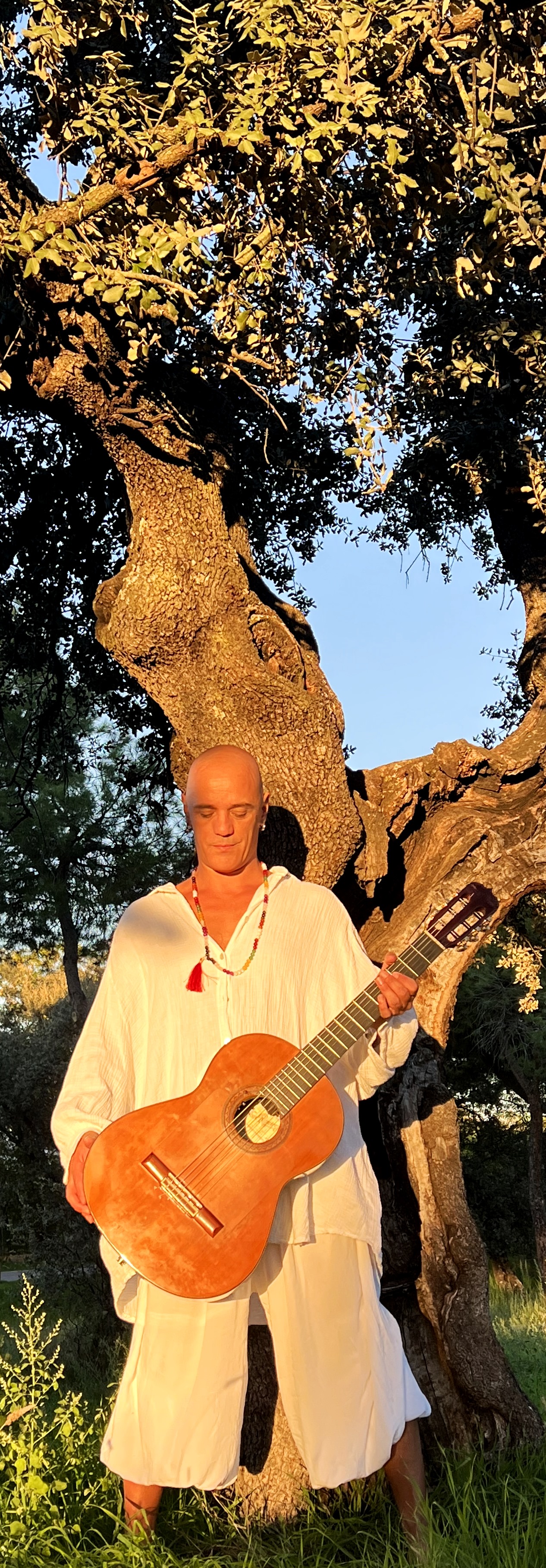 Lagartijas Colorá, Grupos de rumba en Madrid | Partfy.com